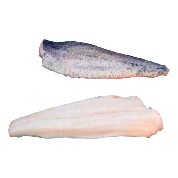 Southern Hake Fillets (Merluccius australis) - Pesquera Magallanes S.A ...